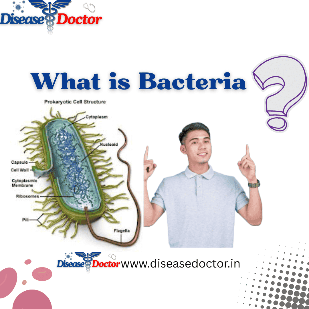About Bacteria